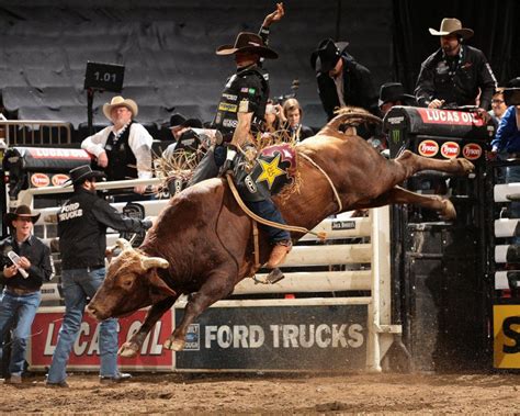 Download Intense Bull Riding Rodeo Wallpaper
