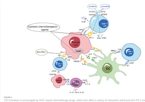 Figure 1 From The Worthy Role Of Hepatic Arterial Infusion Chemotherapy In Combination With Anti