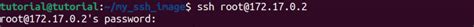 How To Ssh Into Docker Container Cherry Servers