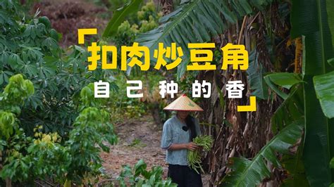 下雨天也挡不住对美食的热爱，到山上摘些豆角回去，拿来炒扣肉香 Youtube