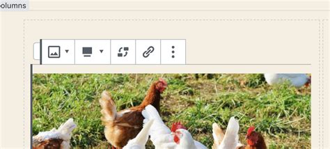 Column Block Toolbar Positioning For Wide And Full Images Inconsistent