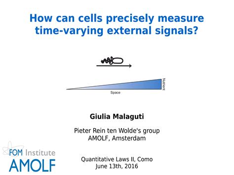 How Can Cells Precisely Measure Time Varying External Signals Giulia Malaguti Ppt