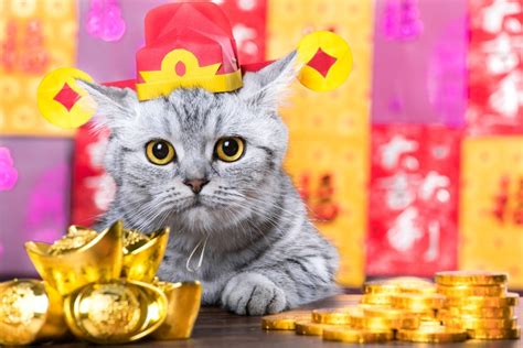 住民税非課税世帯が受けられる国民健康保険料の減免制度とは？ 国民健康保険料の減免申請の仕方とは 2ページ目 Limo くらしとお金の経済メディア