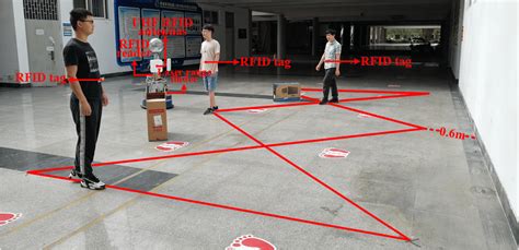 Complex Paths Experimental Setup Download Scientific Diagram