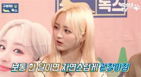 강아지도 상상임신을 했을 때 벌어지는 일  인스티즈 Instiz 인티포털 카테고리