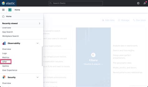 Observability：设置 Elastic Apm Java 代理 自动设置 Csdn博客