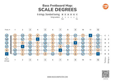 8 String Guitar Fretboard Map Pdf With Scale Degrees