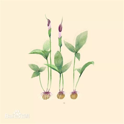 โรงเตี๊ยมยุทธภพ 【 ล่าปีศาจพิฆาตรัก】ในโปสเหมือนเป็นปีศาจกันหมดเลยค่ะ🫣