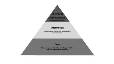 Database Management System A Complete Ppt For Xii Pptx Databases Computer Software And