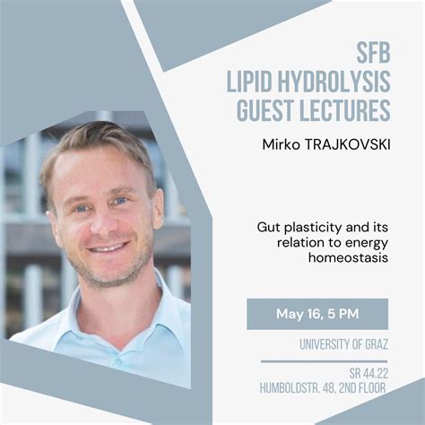 Sfblipidhydrolysis Sfb Lipid Hydrolysis