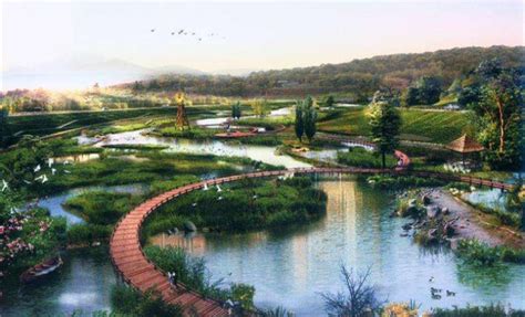 一亩地有多大概念图 一亩片 农村一亩片 大山谷图库