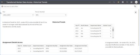 how to set up data security in oracle fusion hcm analytics using the