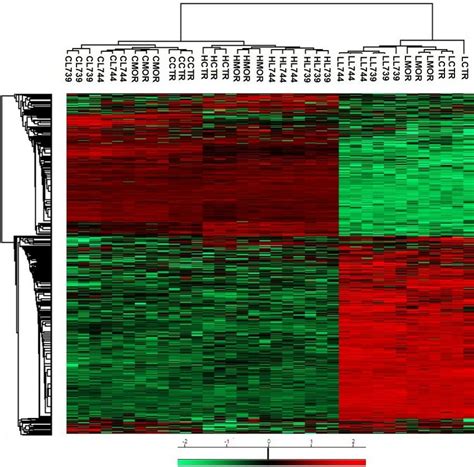 Heatmap Showing Hierarchical Clustering Performed On Lfq Intensity