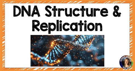 Dna Structure And Replication Review Worksheet Dna Replication