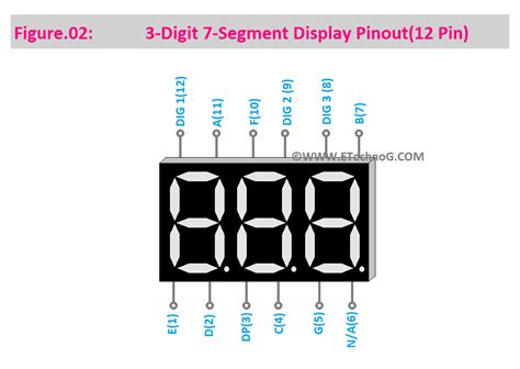 2 Digit 3 Digit And 4 Digit12 Pin 7 Segment Display Pinout Etechnog