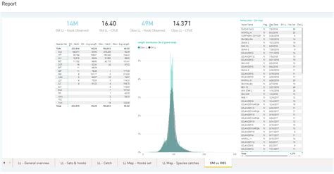Angular How To Show Multiple Pages Of A Power Bi Embed Report When