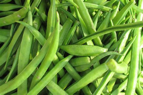 Functional Oligosaccharides Substitutes For Antibiotics In Nutrition