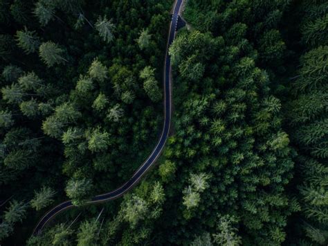 Demystifying Csddd Getting Off To A Good Start With The Eus Latest Esg Milestone