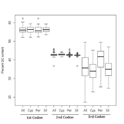 percent gc content at different codon positions in the sequenced