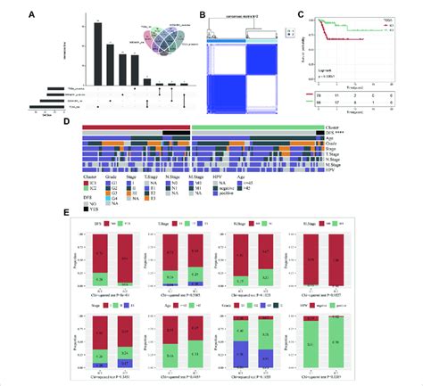 Construction Of Immune Subtypes For Cervical Cancer With Different