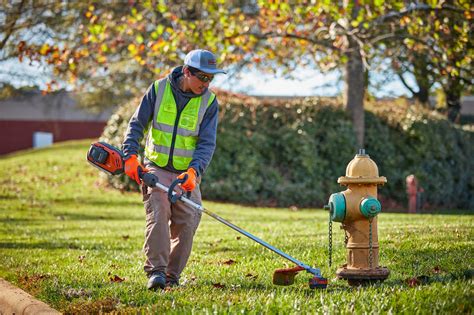 Dynamo Small Dynamo Small Engine Sales And Service Ltd