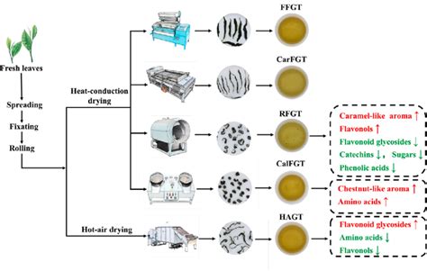 Illustrators Of Variations On Volatile And Nonvolatile Metabolites In