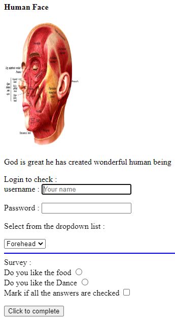 Introduction To Html