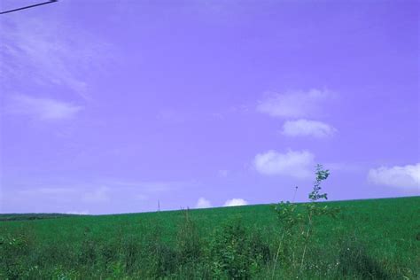 国税庁「印紙税額一覧表（令和6年11月現在）」のご紹介 有限会社 西川経営オフィスサービス