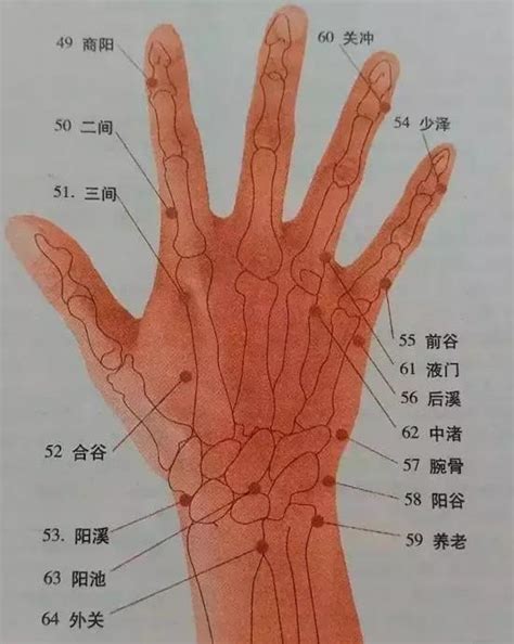 最詳細的人體穴位圖解值得收藏 每日頭條