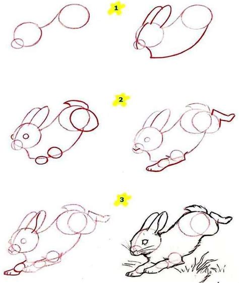 Как нарисовать зайца 100 картинок легкие и простые варианты для детей