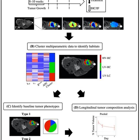 Pipeline For Habitat Imaging Analysis And Identification Of Tumor Download Scientific Diagram
