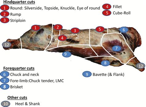 Linear Classification Scores In Beef Cattle As Predictors Of Genetic Merit For Individual