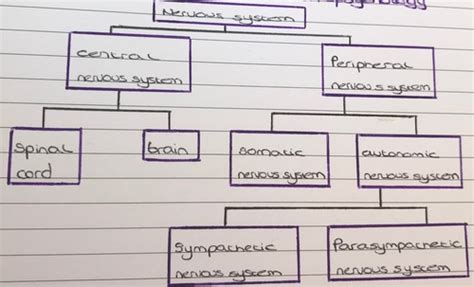 GCSE Psychology AQA Paper Flashcards Quizlet