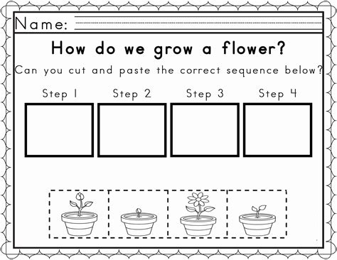 Plant Life Cycle Worksheet 3rd Grade — Db