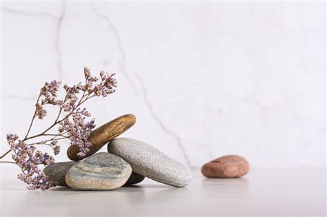 테이블 위의 부드러운 바다 돌과 말린 꽃의 아름다운 구성 배경 주제에 대한 스톡 사진 및 기타 이미지 배경 주제 돌 바위