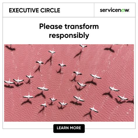 Please Transform Responsibly Servicenow Servicenow