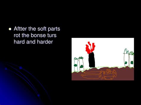 PPT How Fossils Are Formed PowerPoint Presentation Free Download ID 3985189