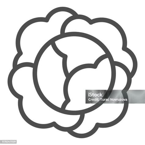 양배추 라인 아이콘입니다 흰색에 고립 된 비타민 식품 벡터 그림 웹 및 응용 프로그램을 위해 디자인 된 야채 개요 스타일 디자인 Eps 10 0명에 대한 스톡 벡터 아트 및