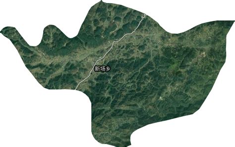 新场乡高清卫星地图