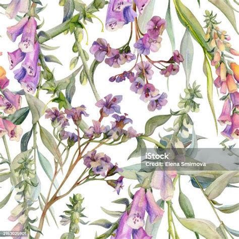 손으로 그린 수채화 그림 Boho 식물 꽃 잎 폭스글러브 금어초 루핀 버드나무 유칼립투스 베르게니아 헬리오트로프 흰색에 고립 된 원활한 패턴 디자인 결혼식 선물 종이 0명에