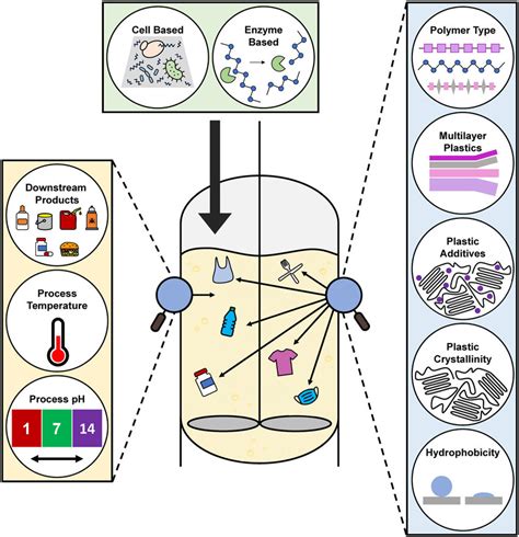 Bottlenecks To Bio Based Plastic Degradation Biological