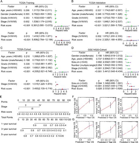 Univariate And Multivariate Cox Analyses For The Development Of A Download Scientific Diagram