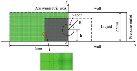 Cavitation Dynamics Model For A Single Bubble Download Scientific Diagram