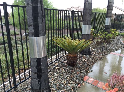 Aluminum Tree Wraps Keep Unwanted Rodents From Climbing Trees And Climbing Onto The Roofs Of Homes