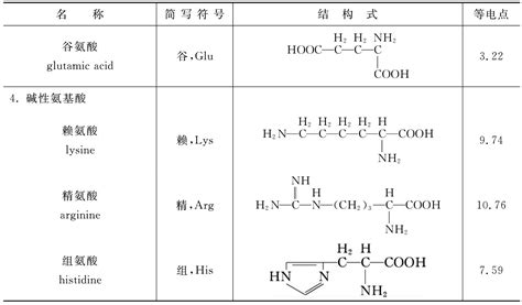 蛋白质的化学组成 生物化学 挂云帆
