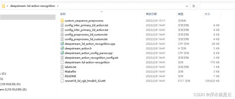 Deepstream 2d 3d 动作识别（包括file、rtsp输入输出）deepstream 识别 Csdn博客