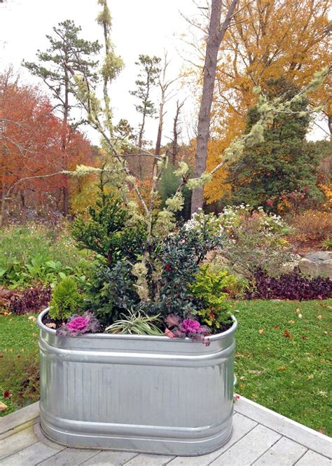 Small Containers Vs Large Containers For Plants Which Is Best Farm City State Your Guide To