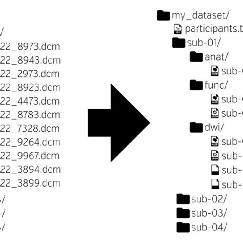 Illustration Of A Bids Structured Dataset Bids Is A Format For