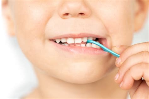 Floss Picks Wellnesse