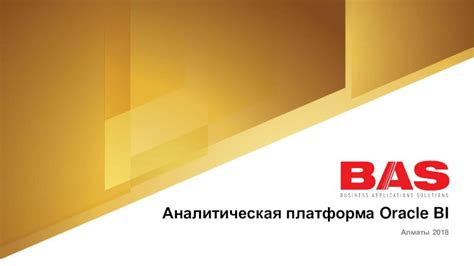 PDF Аналитическая платформа Oracle BI Преимущества решения 30 Siebel CRM E Business Suite